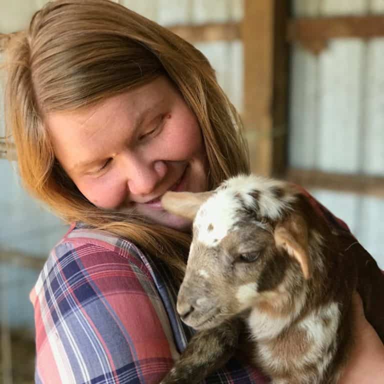 Best Homestead Youtube Channels 2020