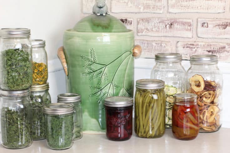 A Beginner's Guide to Home Canning Basics