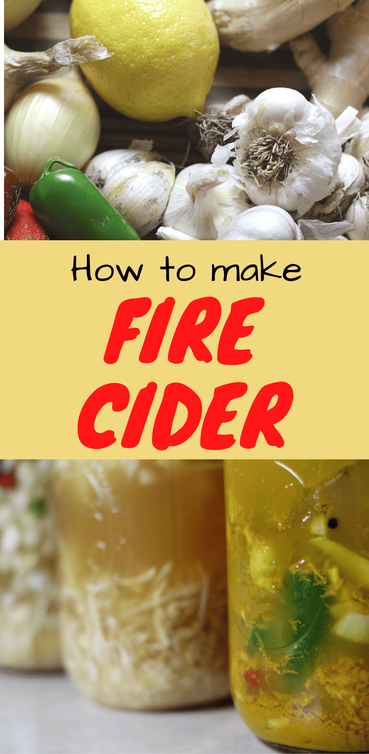 Fire Cider Recipes