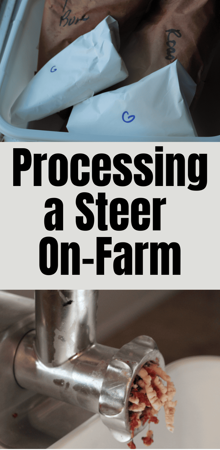 Processing a Steer On-Farm