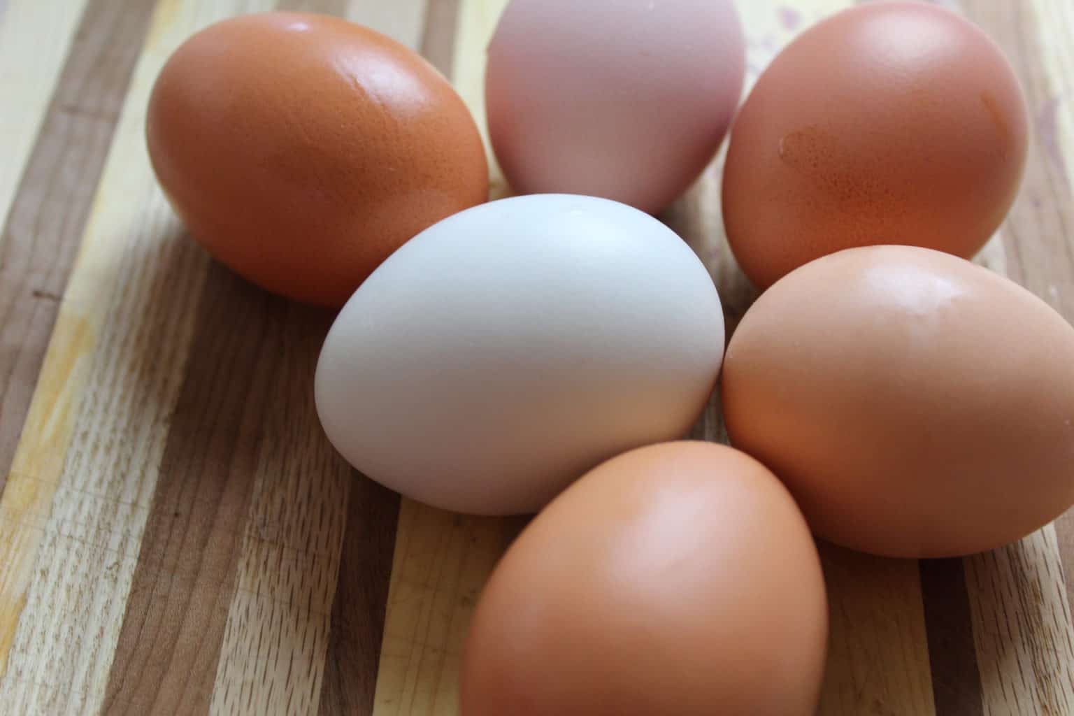 How to Label, Grade, and Size Eggs