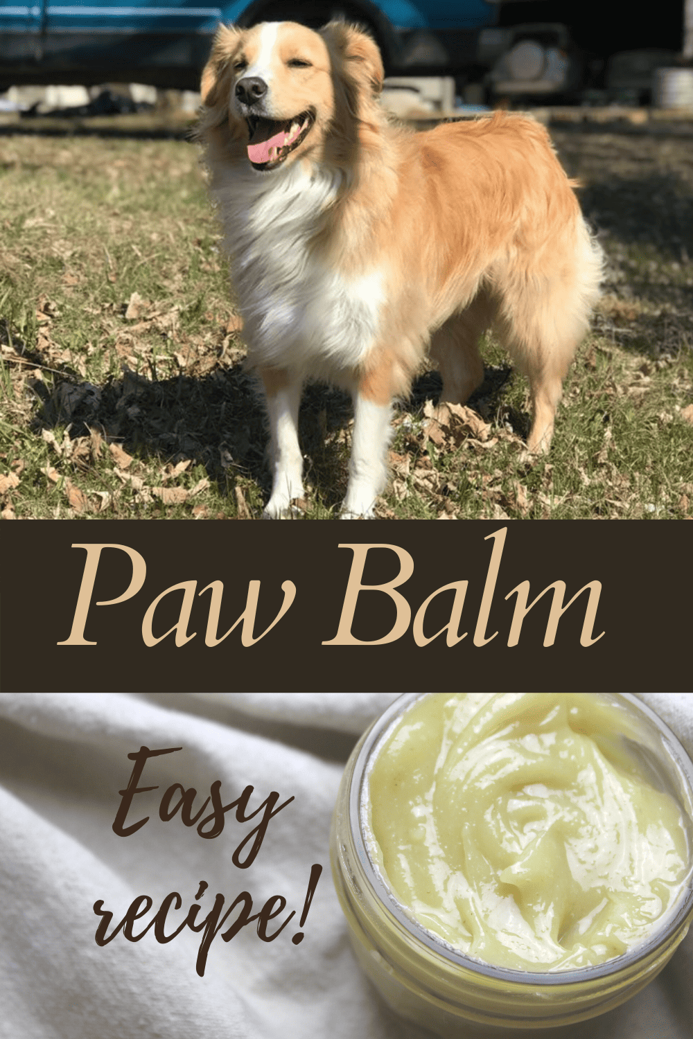 DIY Paw Balm for Dogs