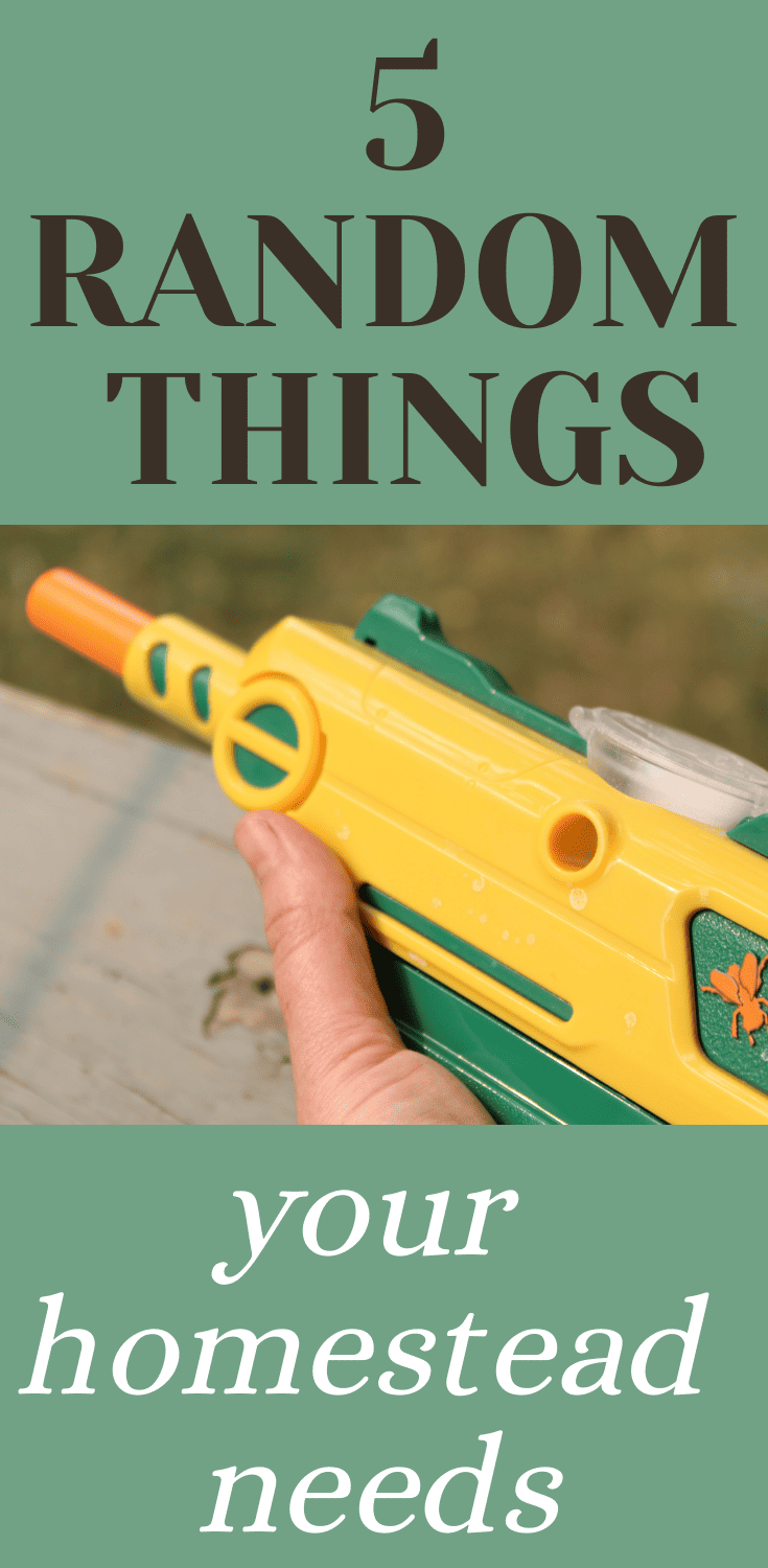 5 Homestead Must Haves