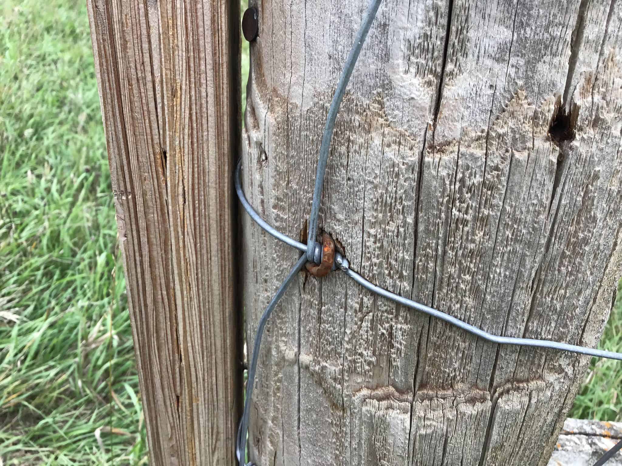 Woven Wire Fencing Basics