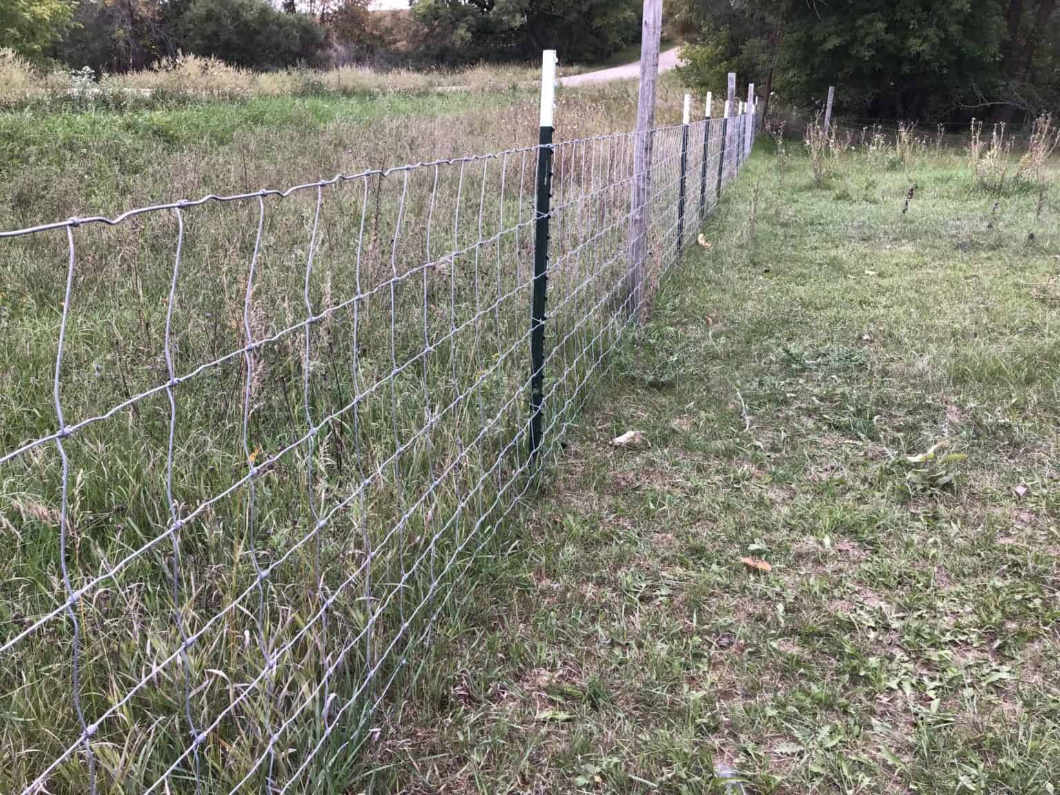 Best Homestead Youtube Channels 2020