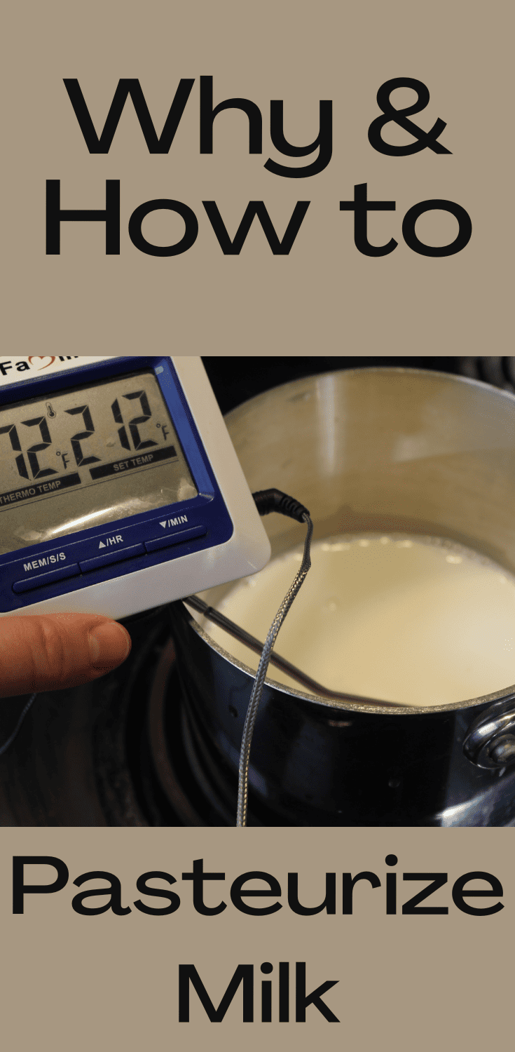 How to Pasteurize Milk at Home