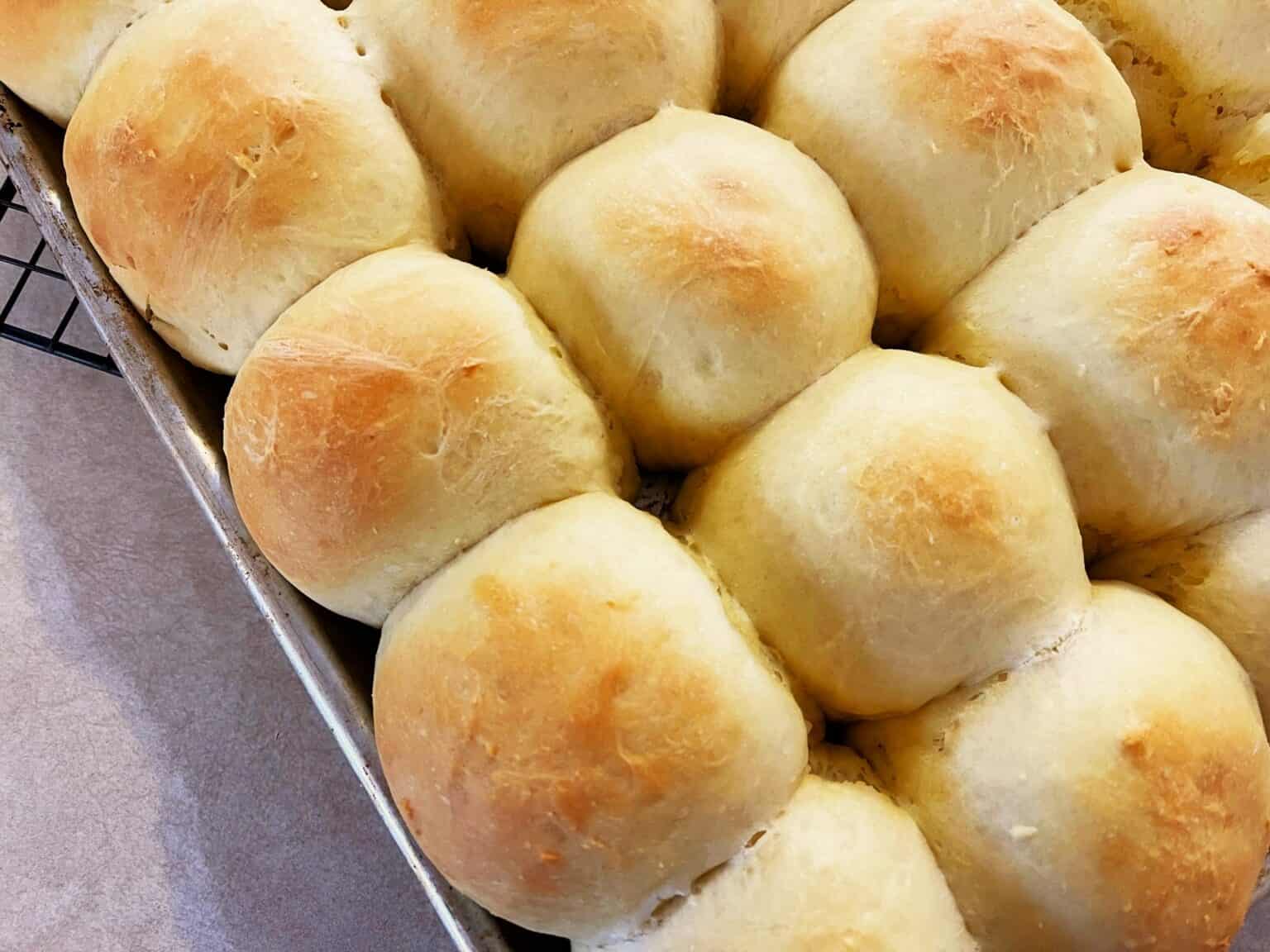 Best Ever Hamburger Buns