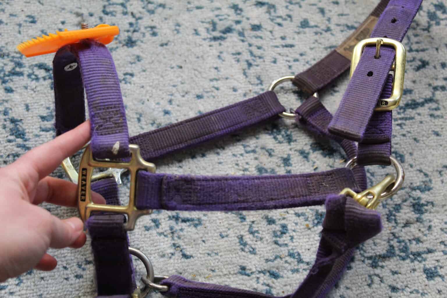 DIY Weaning Halter for Calves