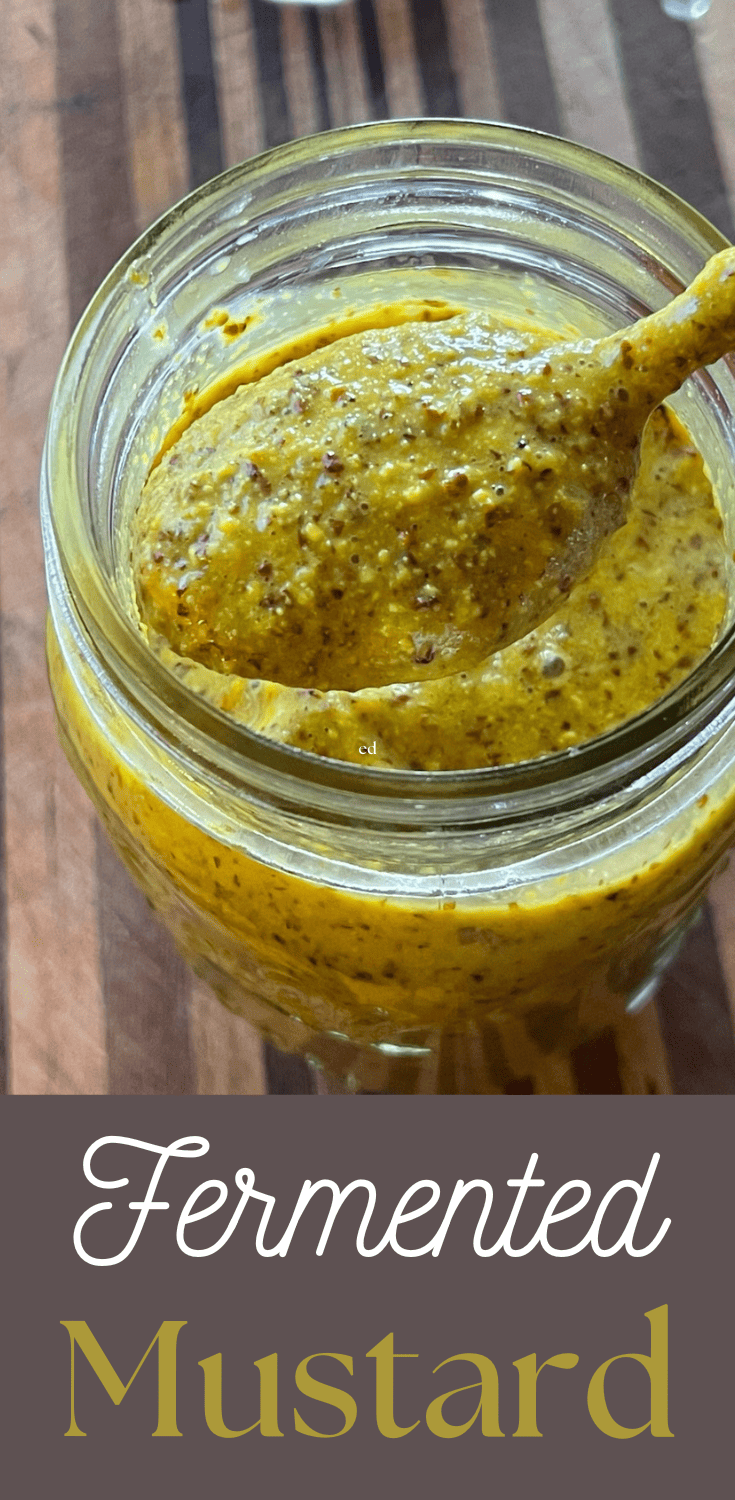Homemade Fermented Mustard